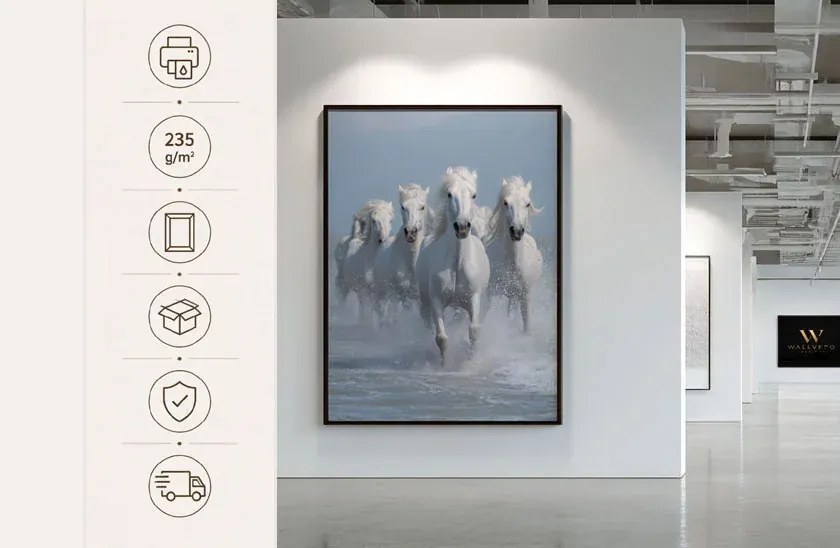 Síla svobody - obraz - Bílé koně v pohybu 56 - 70 x 100 cm - 1 149 Kč