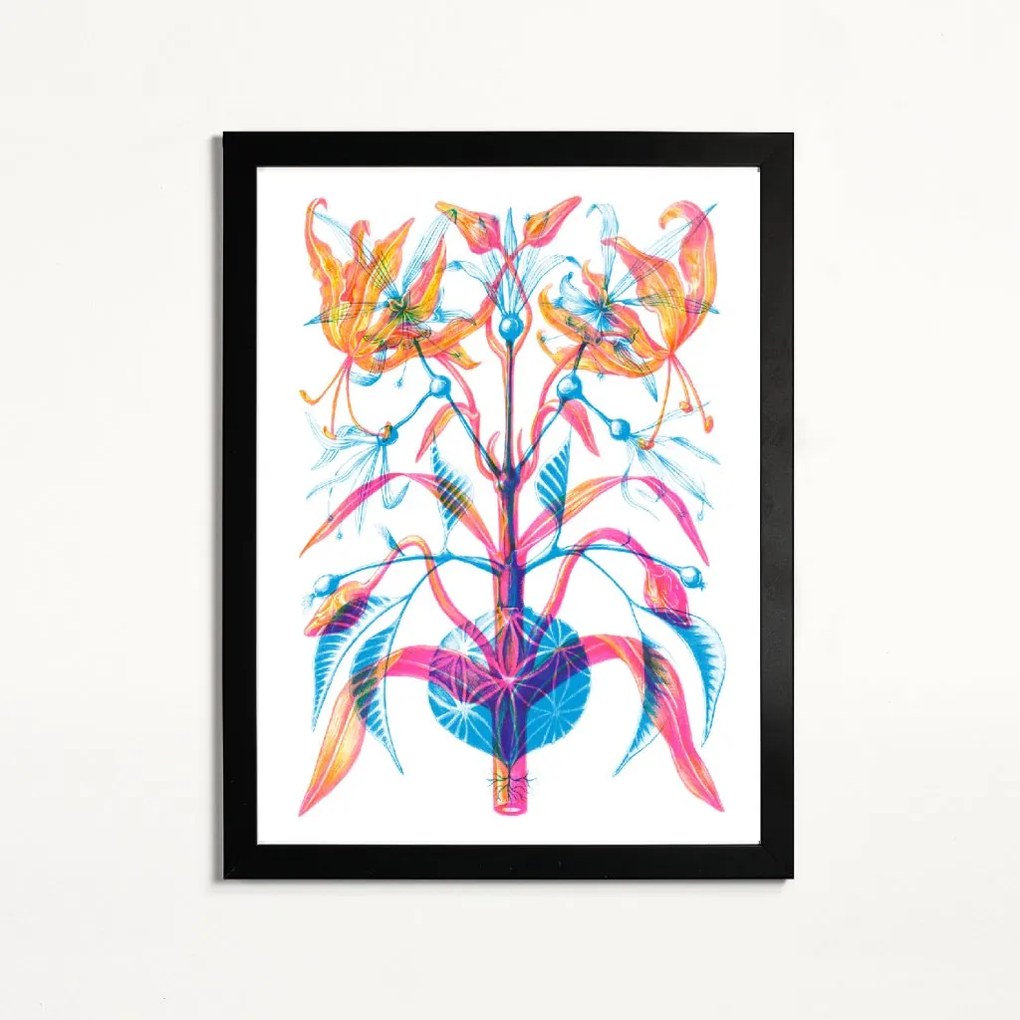 Filip Šenkeřík | Hybrid II – Lilencyclia Liliaceum Rám: Bílý, Velikost: 100 x 70 cm