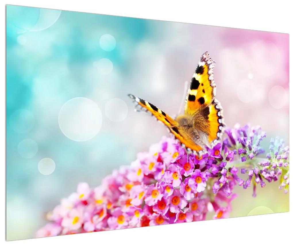 Obraz motýla na květech (120x80 cm)