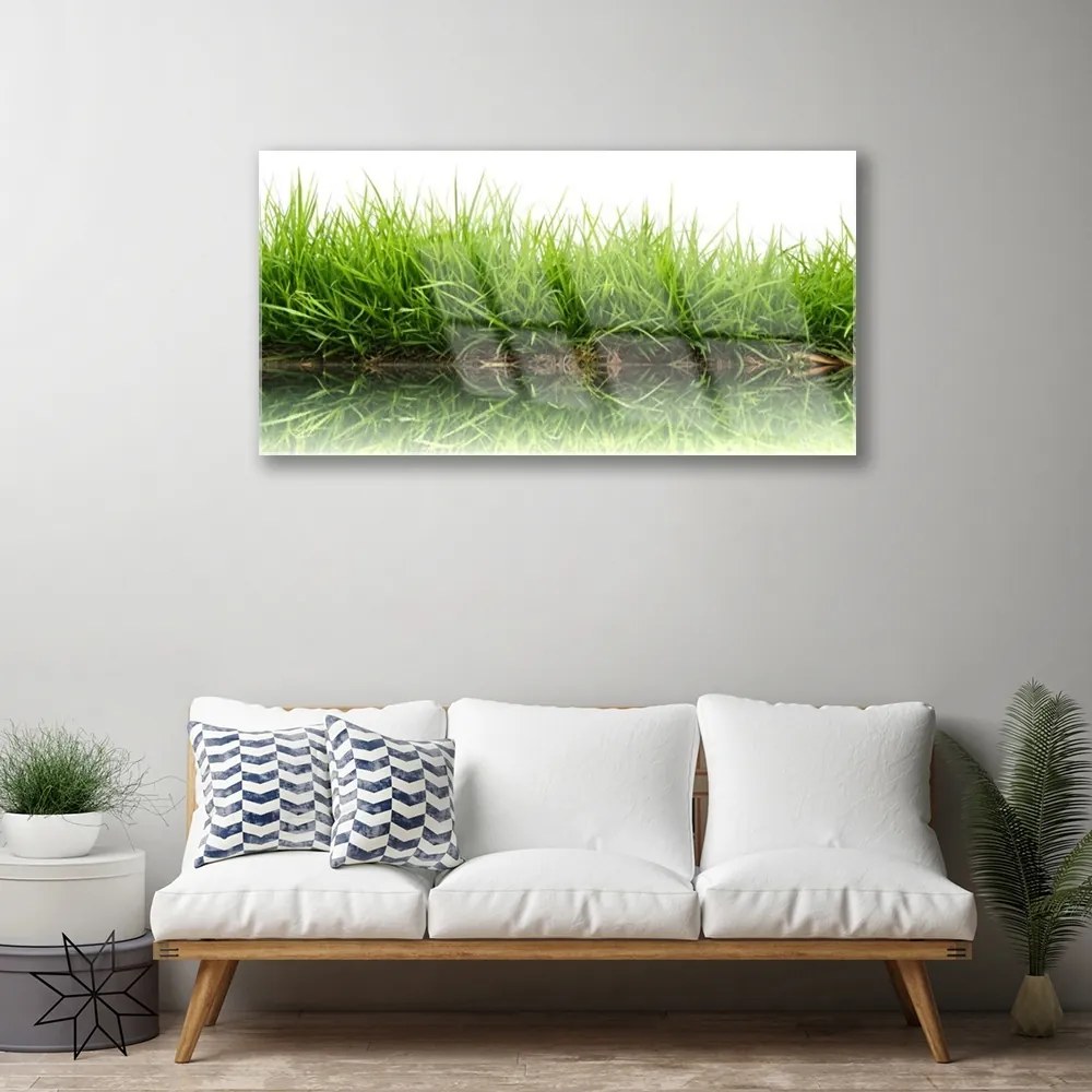 akrylový obraz Tráva Voda Příroda Rostlina 100x50 cm
