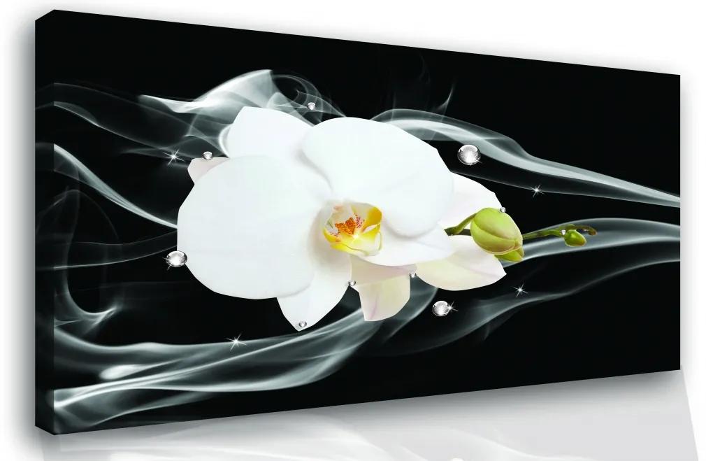 Obraz na stěnu - orchidej (90x60 cm) - InSmile ®