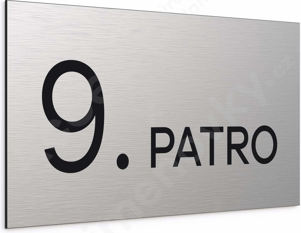 ACCEPT Označení podlaží "9. PATRO" - stříbrná tabulka - černý popis