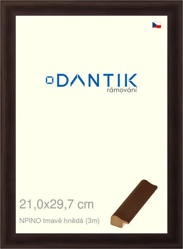 DANTIK rámeček 21x29,7 | NPINO tmavě hnědá (Sklo Čiré)