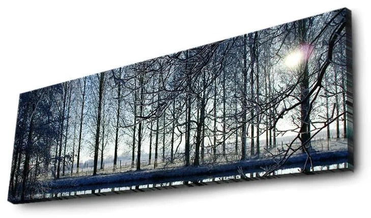 Obraz s LED osvětlením ZIMNÍ KRAJINA 37 30 x 90 cm