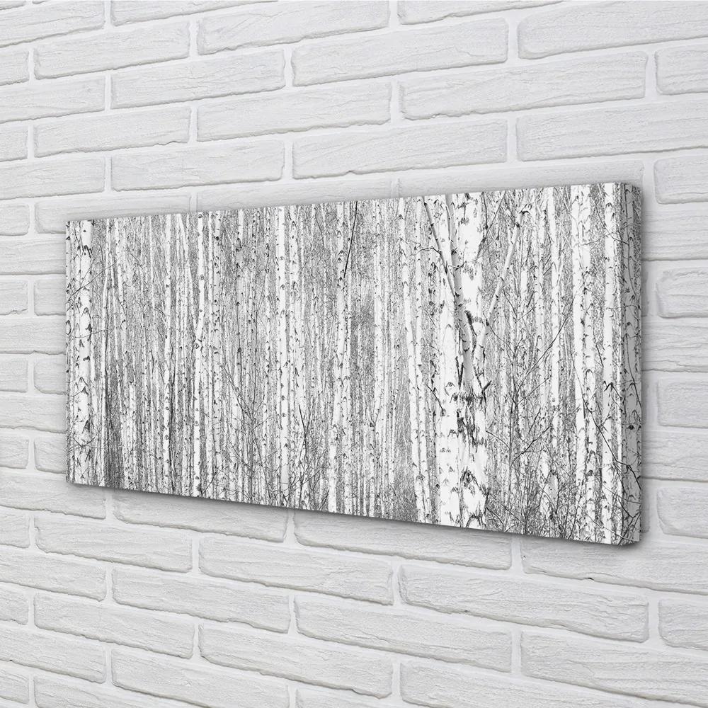 Obrazy na plátně Černá a bílá strom les 140x70 cm