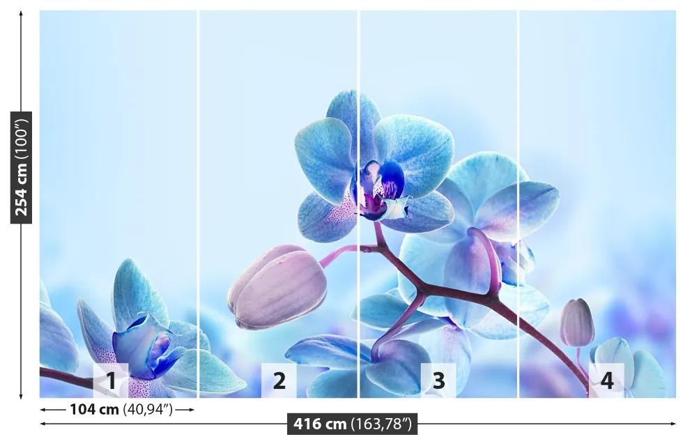 Fototapeta Tropické orchideje 104x70