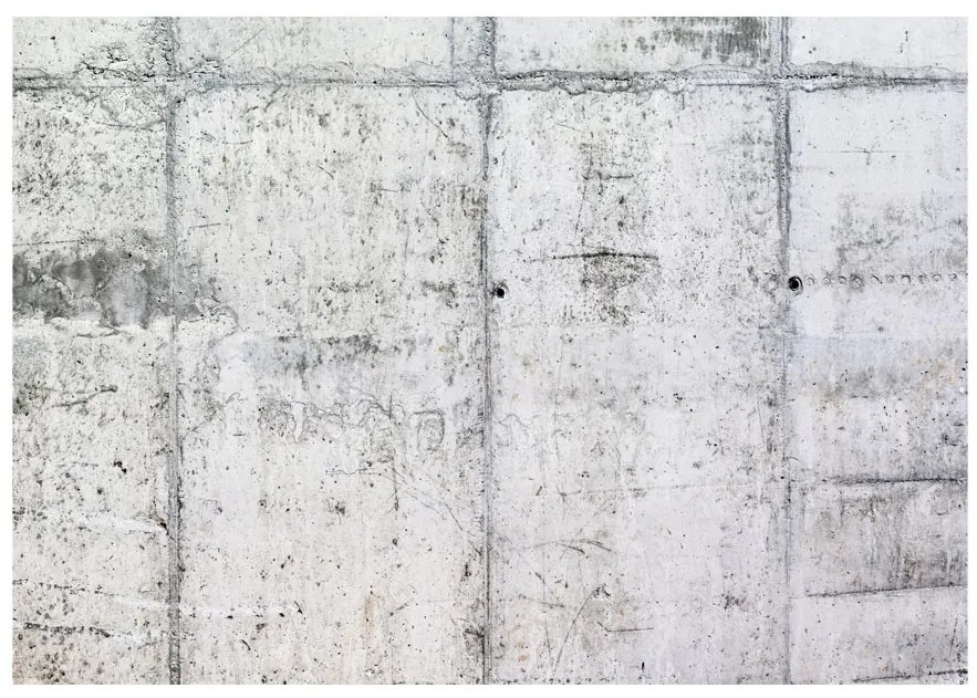 Fototapeta - Betonová zeď 250x175 + zdarma lepidlo