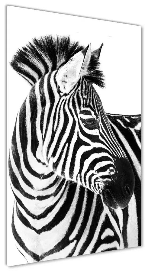 Wallmuralia Vertikální Foto obraz fotografie na skle Zebra na sněhu 50x100