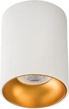 Svítidlo Kanlux RITI GU10 W/G 27570