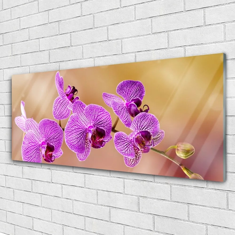 Plexisklo-obraz Orchidej Výhonky Květiny Příroda 125x50 cm