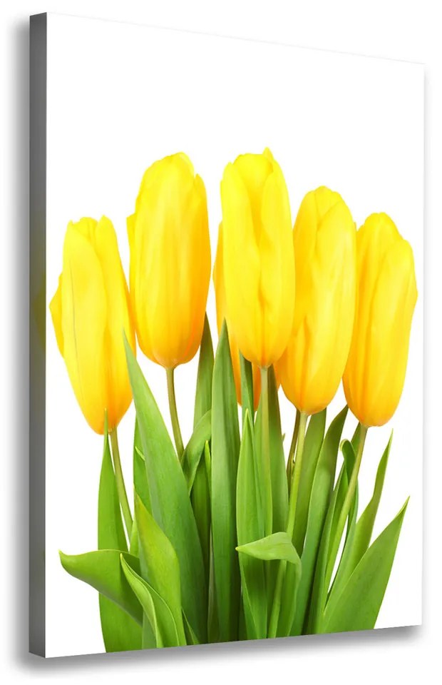 Wallmuralia Foto obraz na plátně Žluté tulipány 70x100 cm