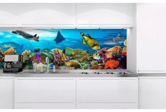 DIMEX | Fototapeta do kuchyně Ryby v oceánu KI-180-092 | 180 x 60 cm | vícebarevná, modrá
