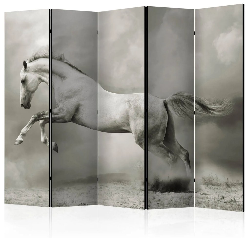 Paraván - Wild Stallion II [Room Dividers] 225x172