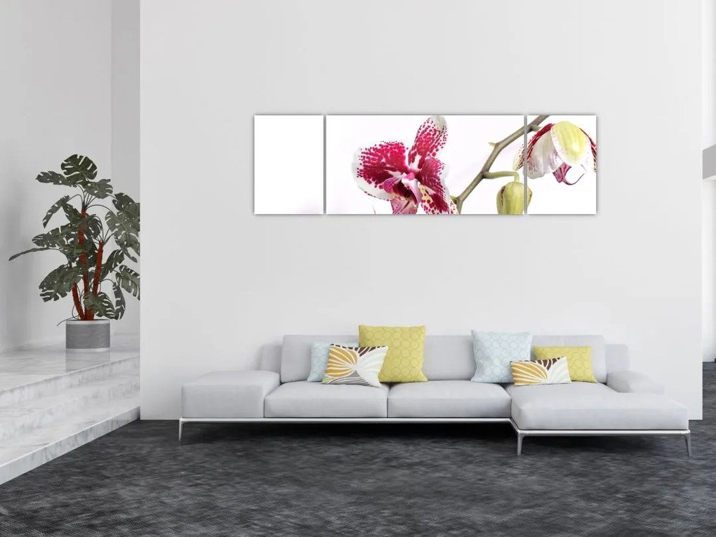 Obraz květu orchideje (170x50 cm)