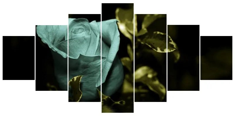 Obraz světle modré růže  (210x100 cm), 40 dalších rozměrů
