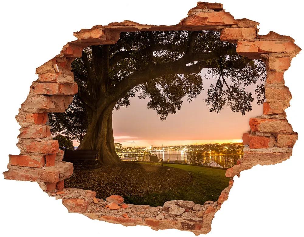 Wallmuralia Nálepka fototapeta 3D na zeď Starý strom 90x70 cm