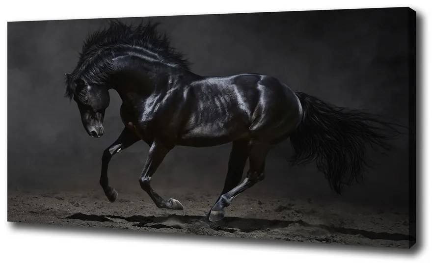 Wallmuralia Foto obraz na plátně do obýváku Černý kůň 100x50 cm