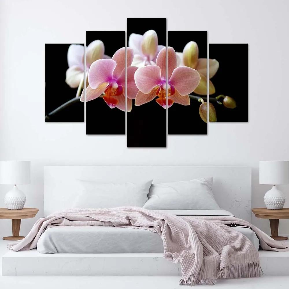 Obraz na plátně pětidílný Růžová orchidej - 200x100 cm