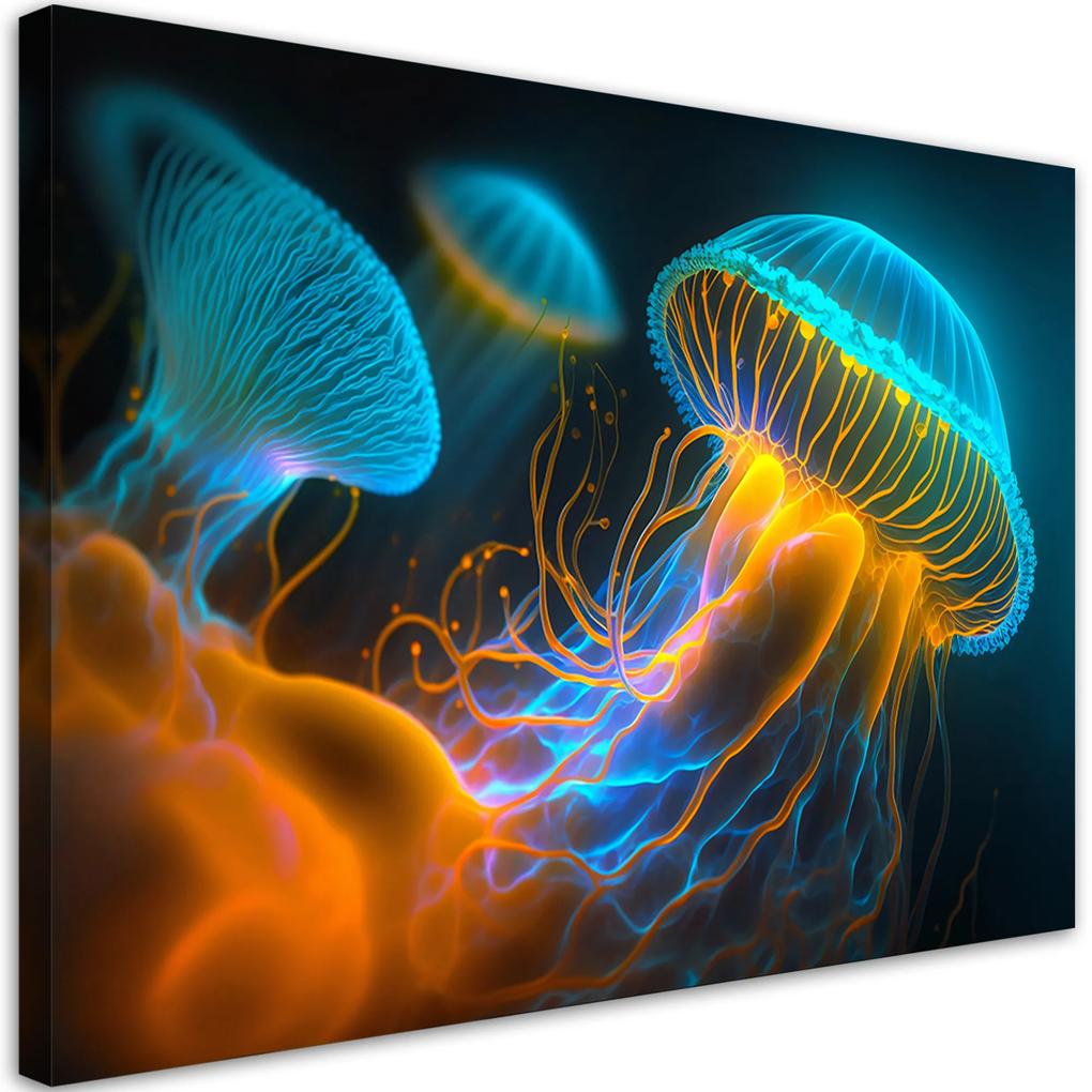 Gario Obraz na plátně Úchvatné medúzy Rozměry: 60 x 40 cm