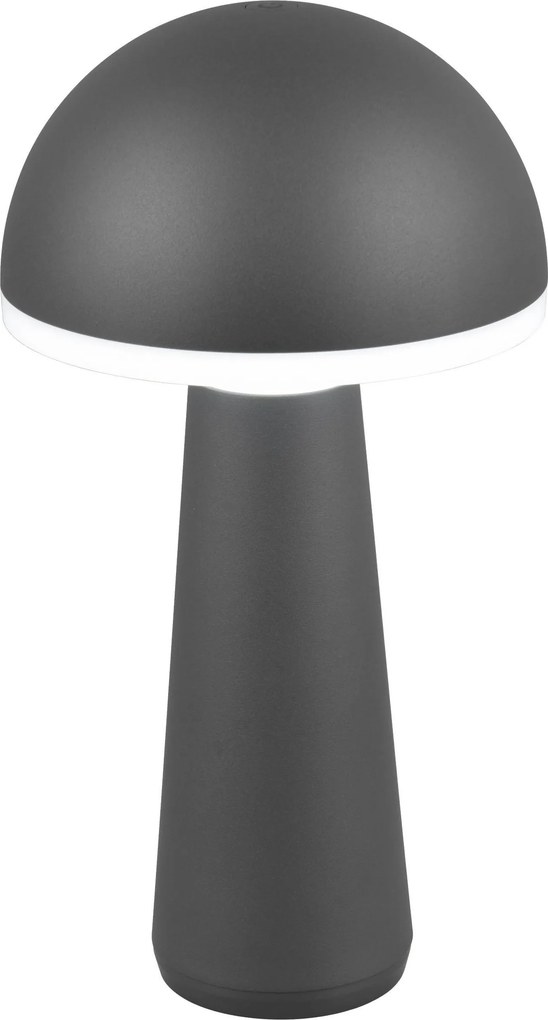 XXXLutz VENKOVNÍ LED SVÍTIDLO, 16/31 cm - 007694037204
