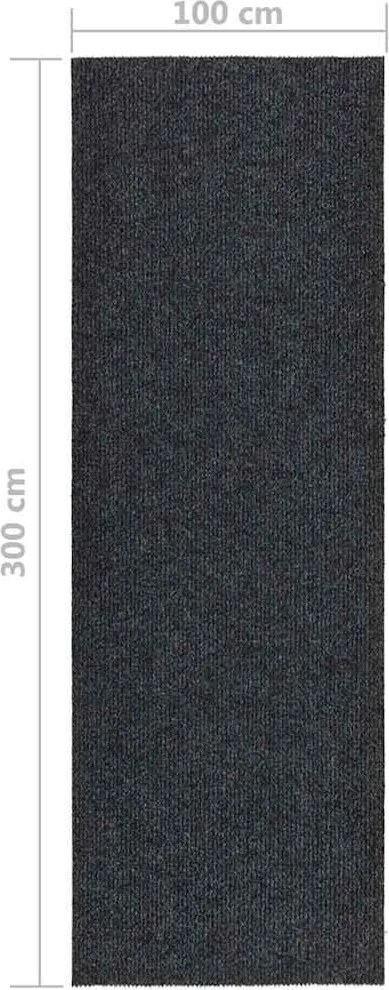 Běhoun čisticí zóna 100 x 300 cm antracitový 327169