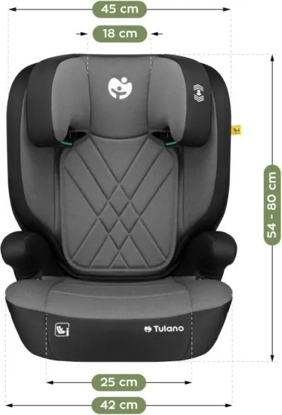 Autosedačka Joy 45 I-Size šedá