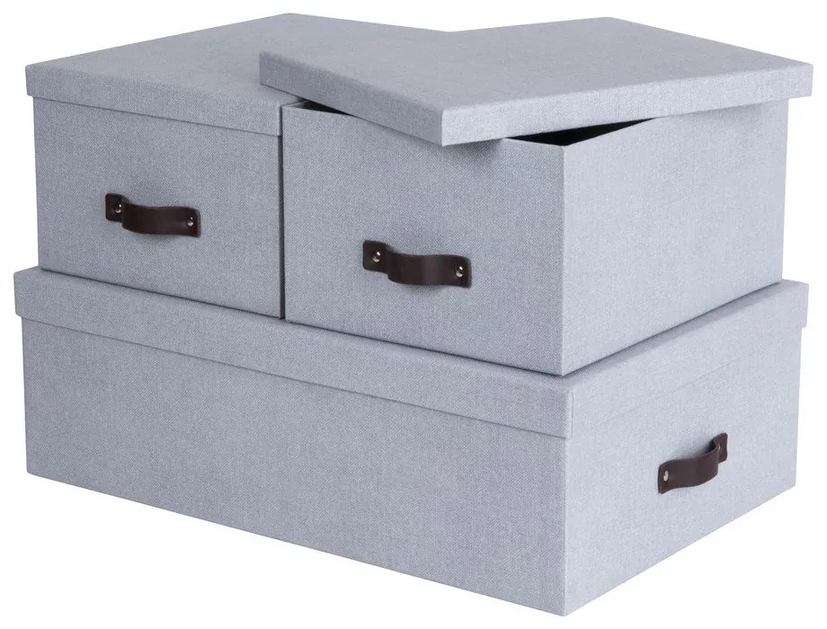 Světle šedé kartonové úložné boxy s víkem v sadě 3 ks 31x47x15 cm Inge – Bigso Box of Sweden