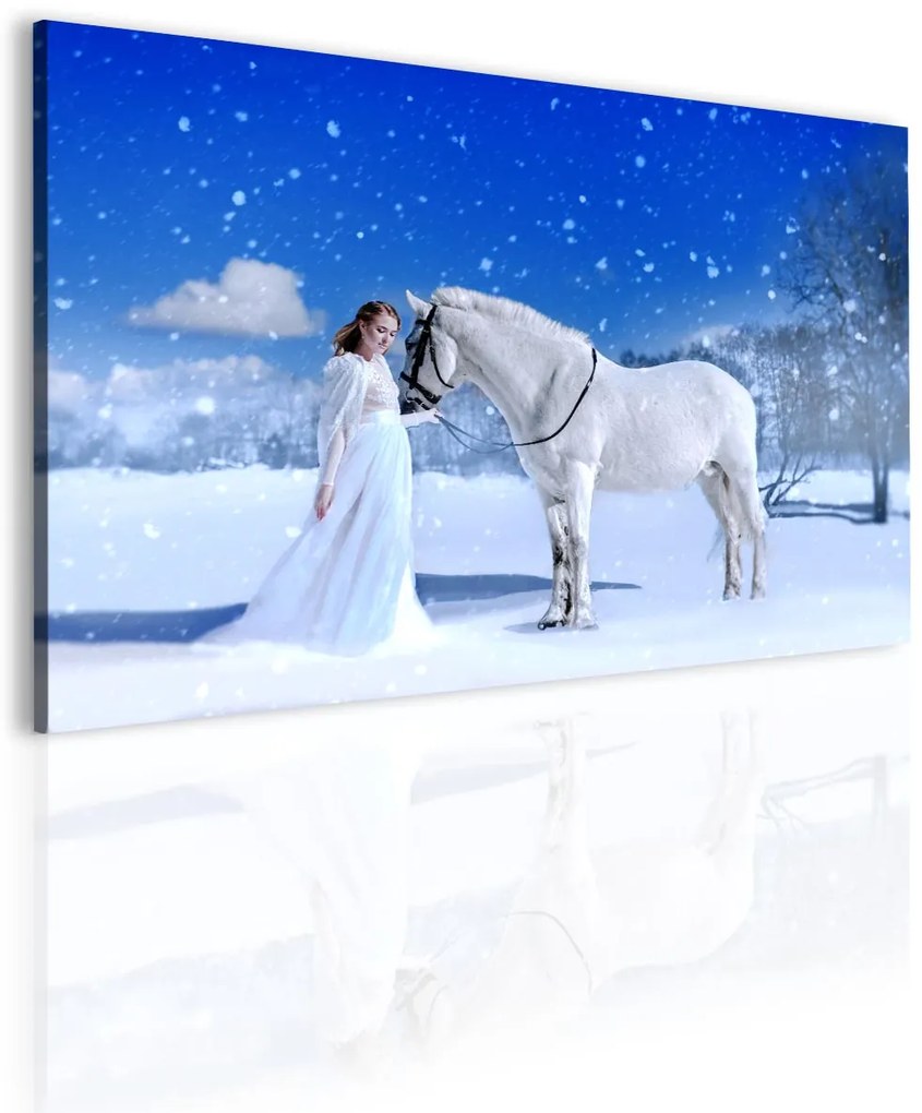 Obraz dívka a kůň Velikost (šířka x výška): 120x80 cm