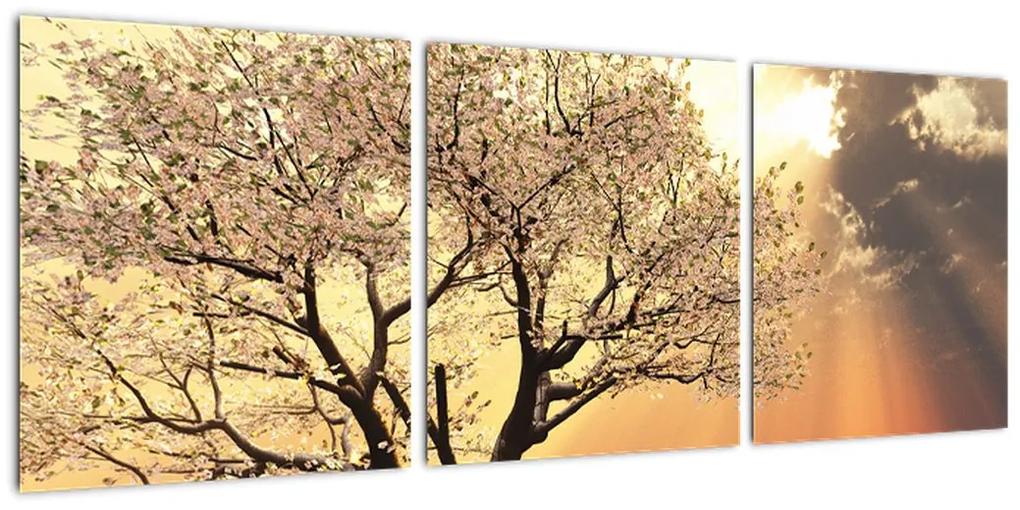 Obraz přírody - strom