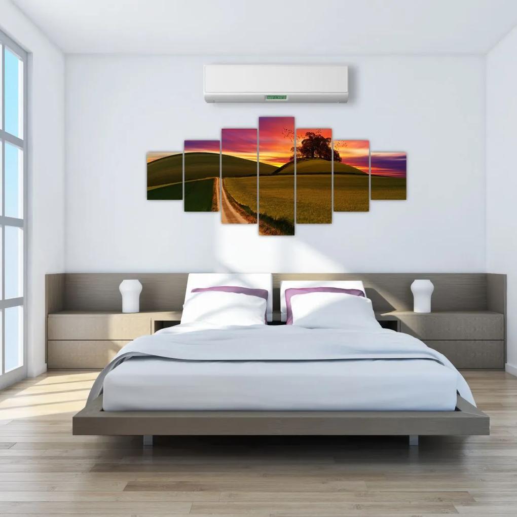 Obraz pole a barevného nebe (210x100 cm)