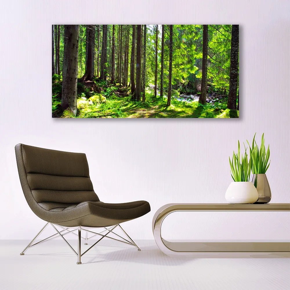 Plexisklo-obraz Les Stromy Rostlina Příroda 120x60 cm