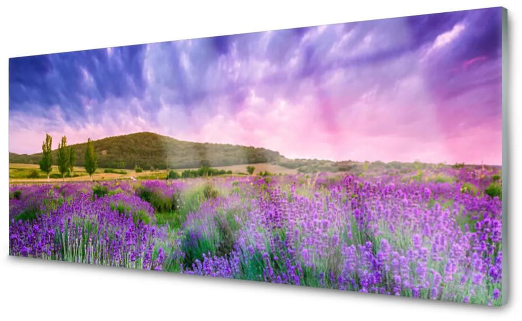 Obraz na skle Louka Květiny Hory Příroda