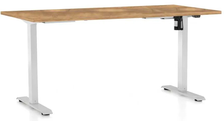 Výškově nastavitelný stůl OfficeTech A, 160 x 80 cm, bílá podnož, dub zlatý