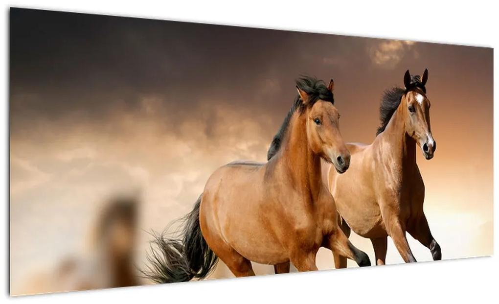 Koně - obraz (100x40cm)