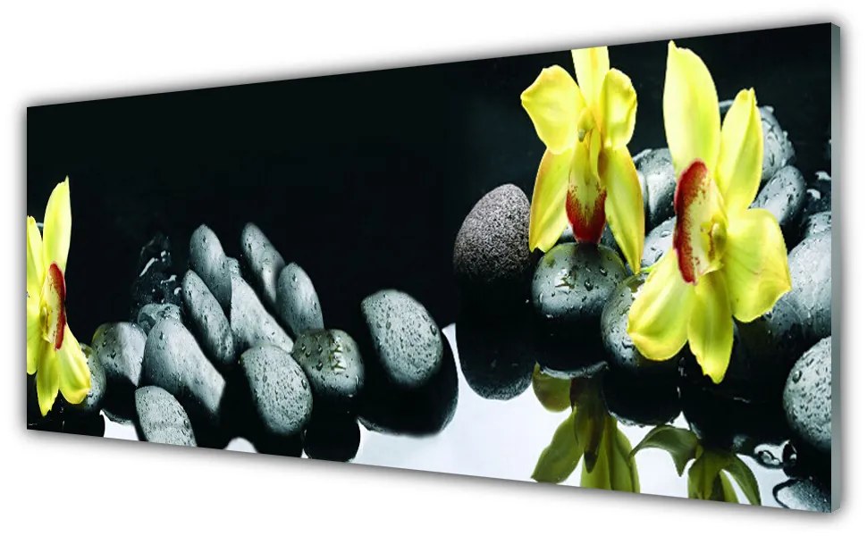 akrylový obraz Květ Kameny 125x50 cm