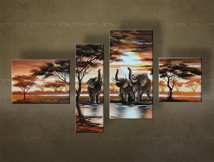 Ručně malovaný obraz na zeď AFRIKA FB100E4