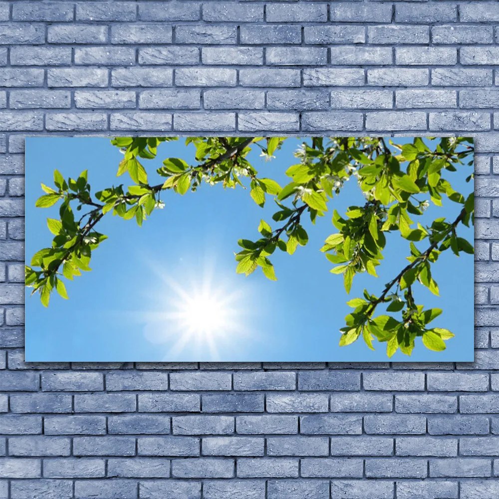 akrylový obraz Slunce Příroda 120x60 cm
