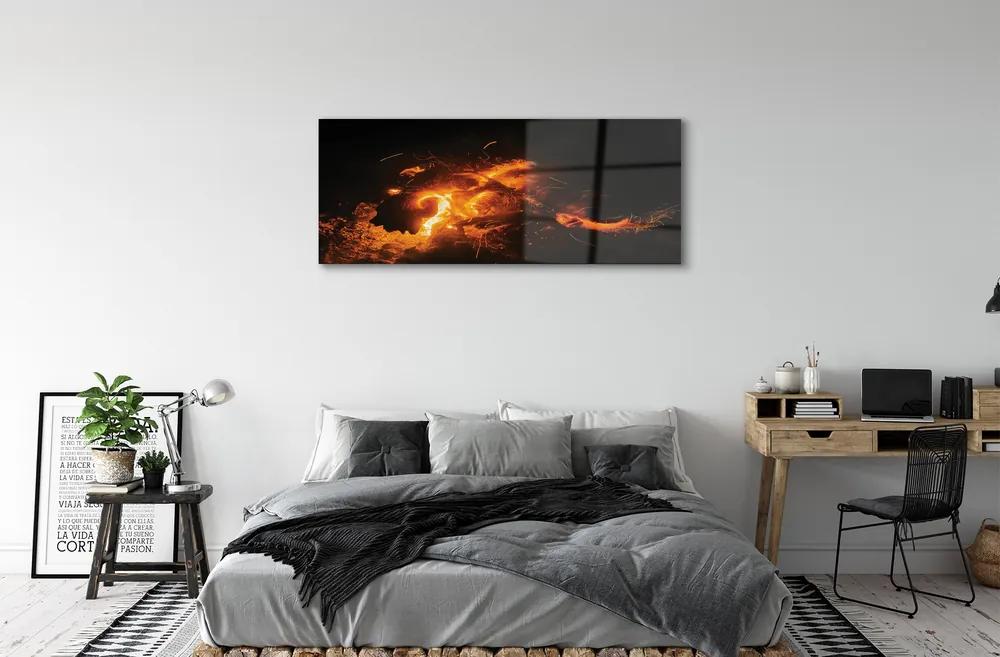 akrylový obraz ohnivý drak 120x60 cm