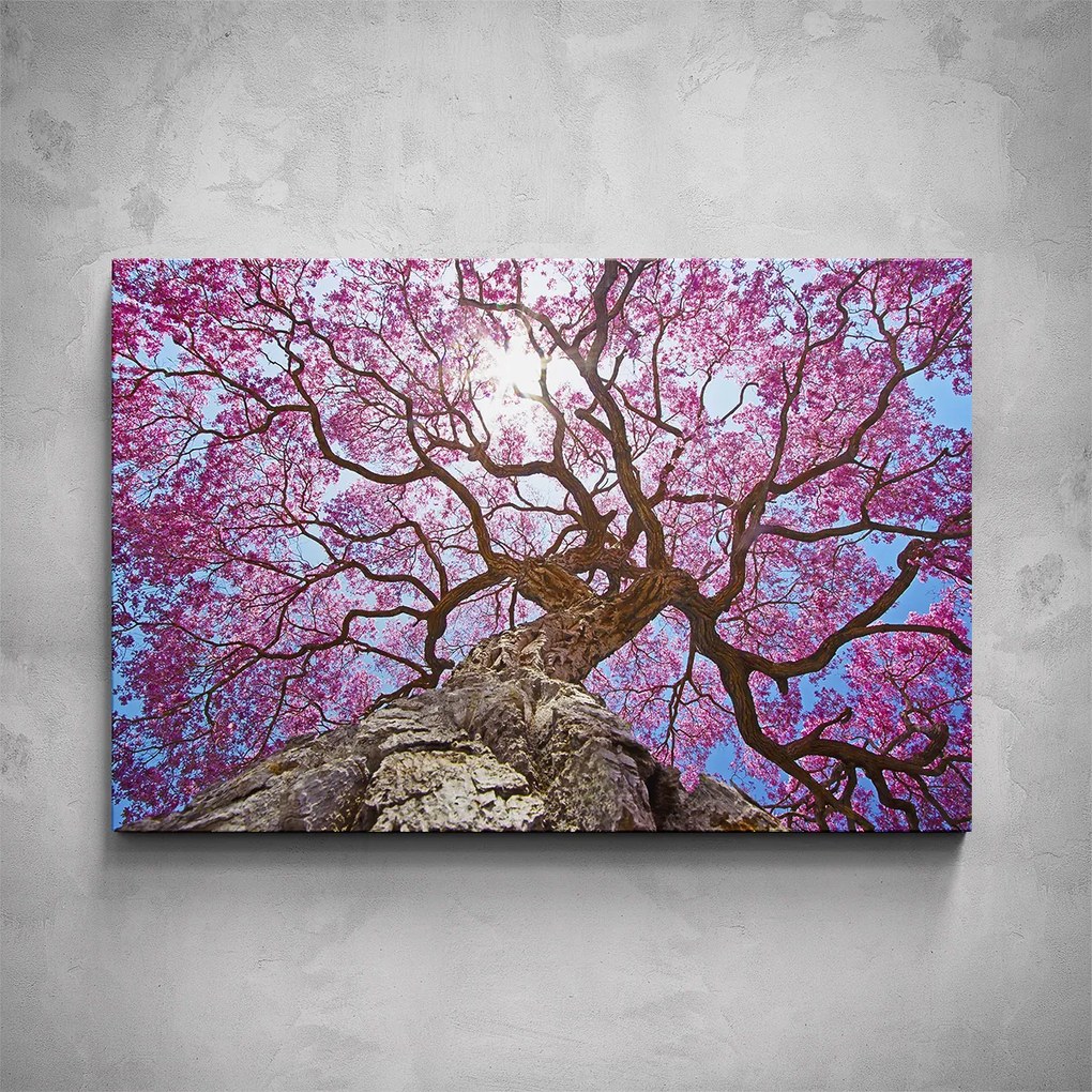 Obraz - Růžová koruna stromu - PopyDesign