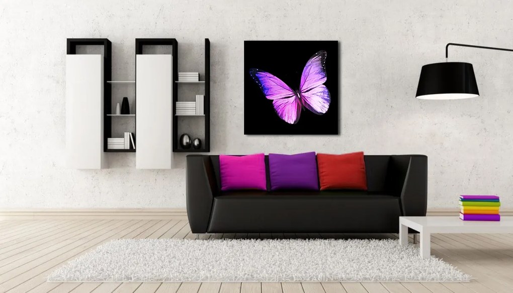 Obraz Fialový Motýl na zrcadle Mirrora 10 - 50x50 cm