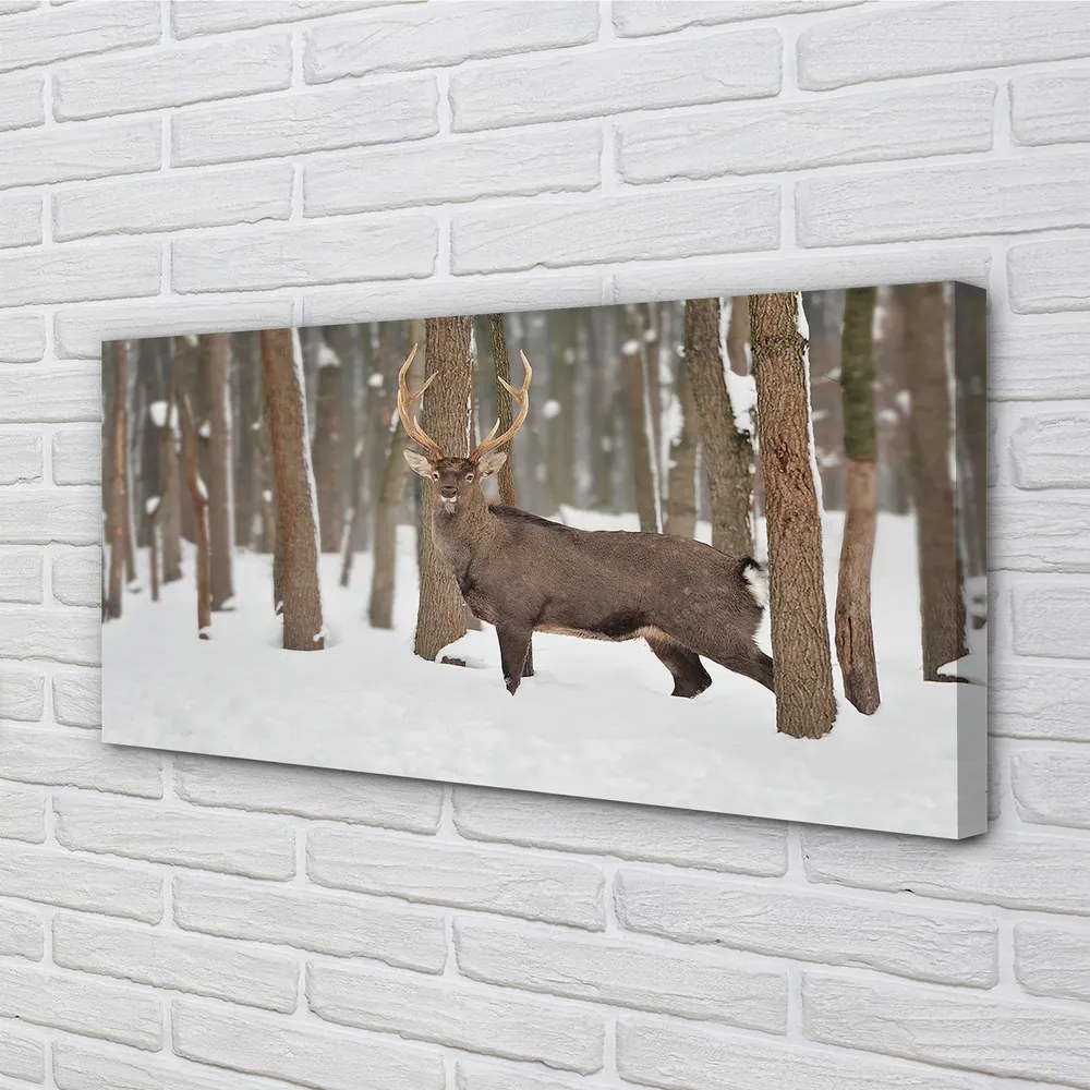 Obrazy na plátně Jelen zimní les 140x70 cm