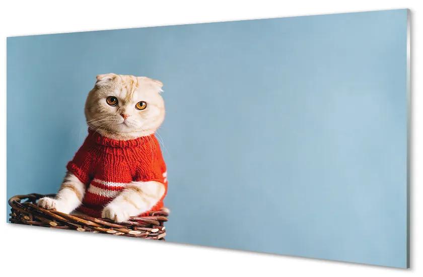 Obraz na skle sedící kočka 140x70 cm