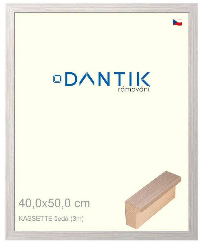DANTIK rámeček 40x50 | KASSETTE šedá (Sklo Čiré)
