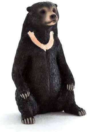 Mojo Medvěd malajský