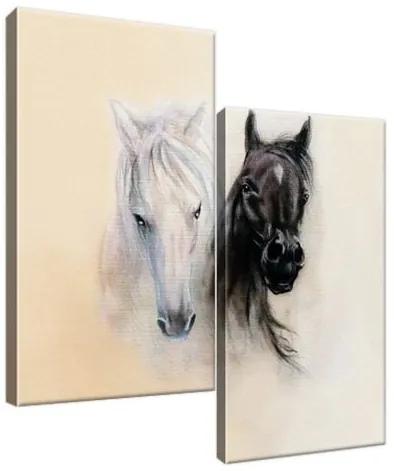 Obraz na plátně Black and White Horses 60x60cm 2502A_2A