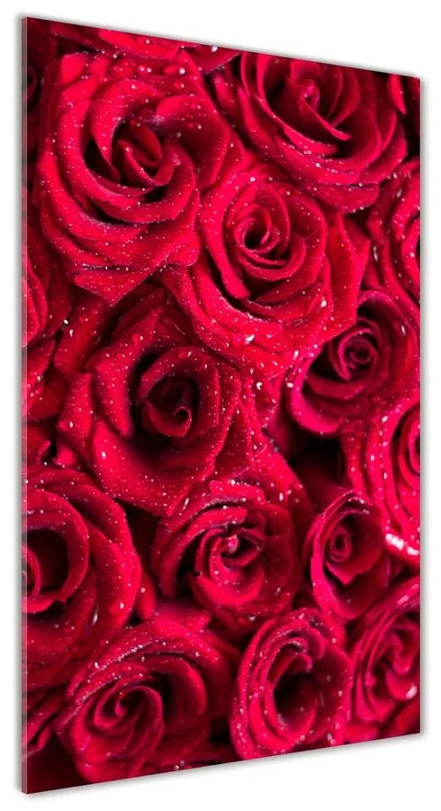 Wallmuralia Foto obraz sklo tvrzené Červené růže 60x120 cm