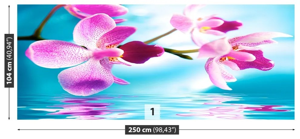 Fototapeta Voda orchidej 104x70