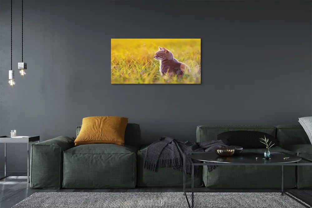 Obrazy na plátně lov cat 100x50 cm