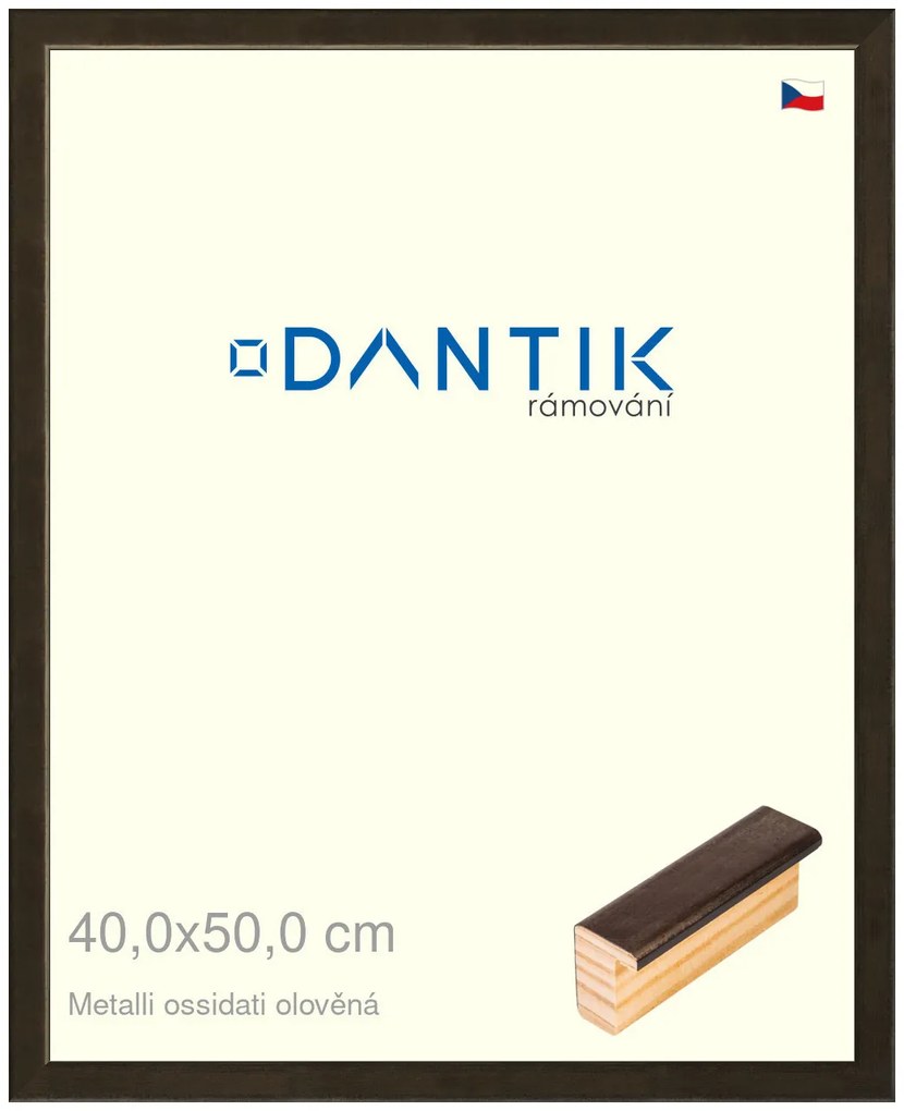 DANTIK rámeček 40x50 | Metalli oidati olověná (Plexi Čiré)