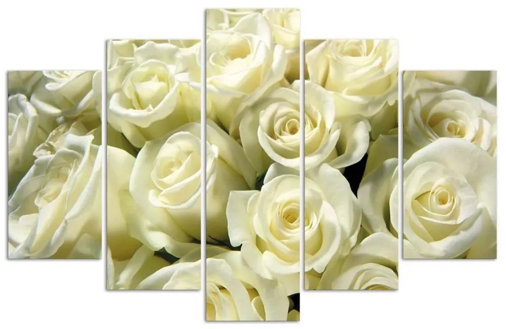 Obraz na plátně pětidílný Bílé růže Květiny Příroda - 150x100 cm